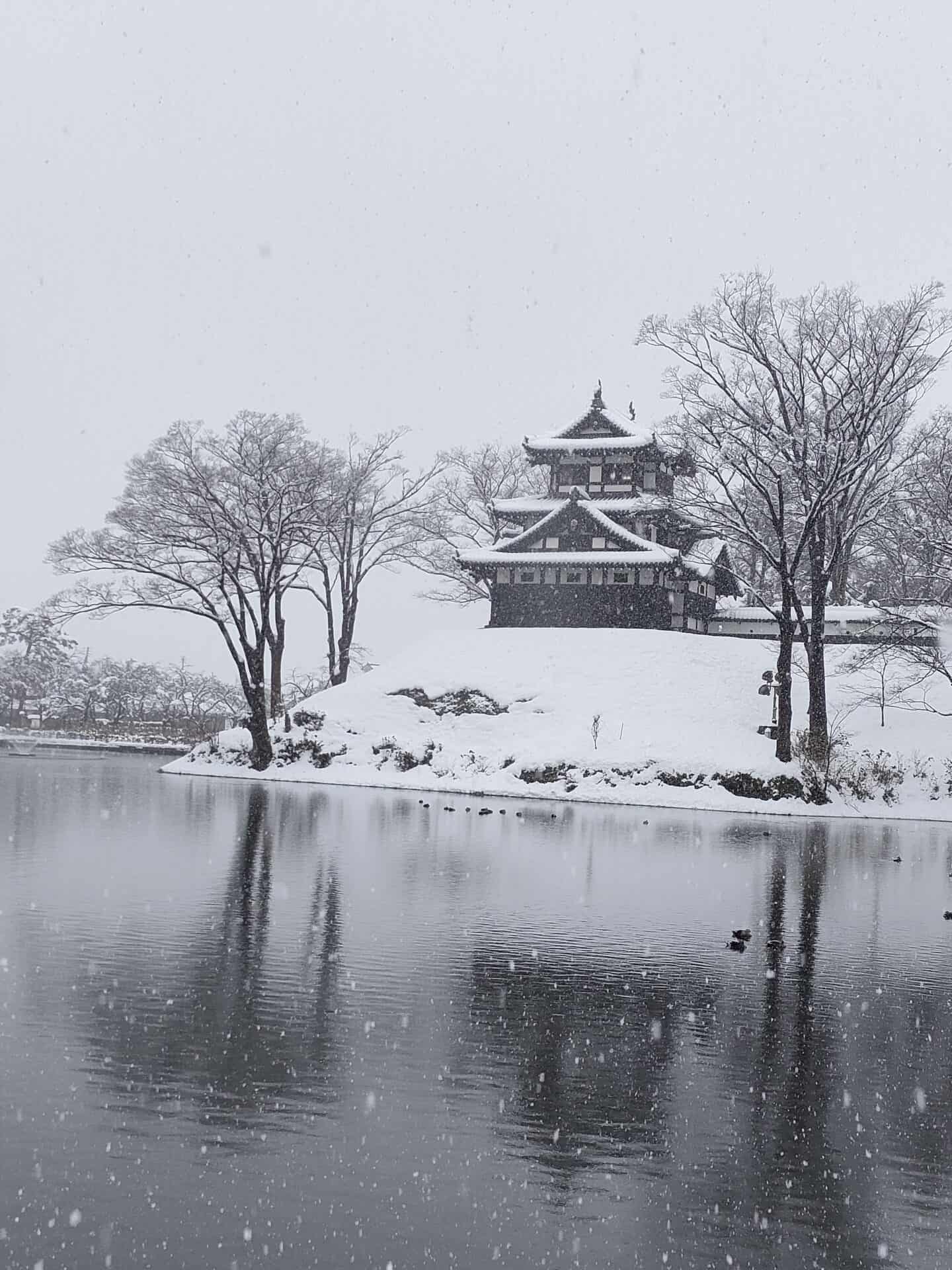 Takada Castle Town / Naoetsu Port Town- Cultural Experience 【Private ...