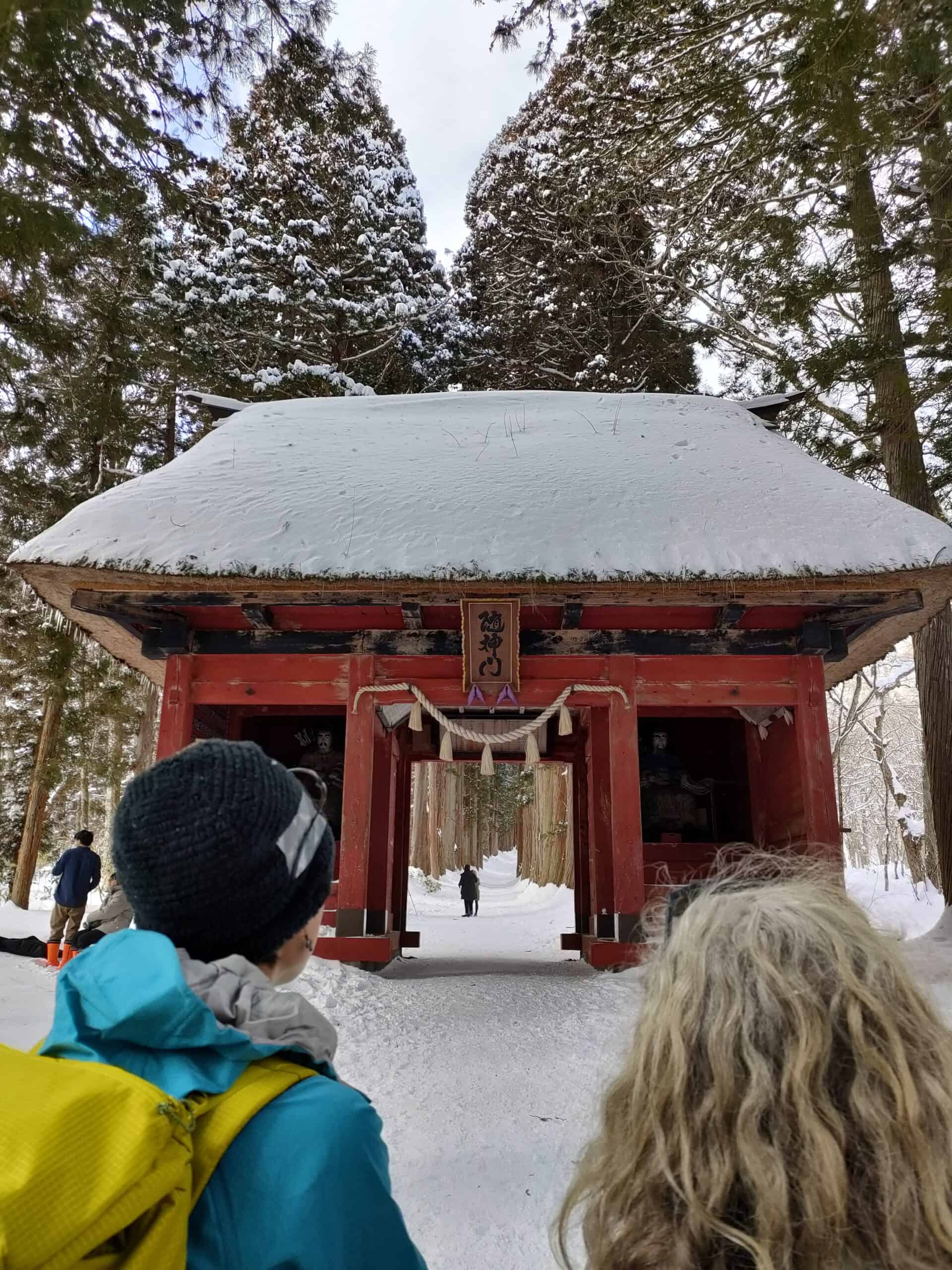 Snow Monkey & More! 【Private Car Tour from Myoko】 - Discover Myoko